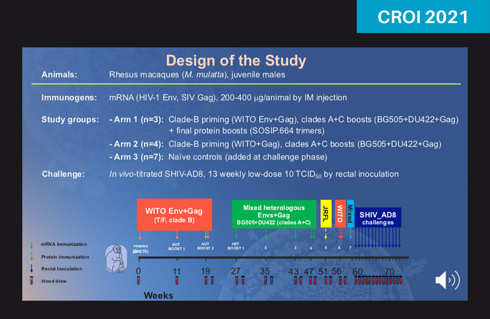 mRNA vaccine protects monkeys against HIV-like virus | aidsmap mRNA vaccine protects monkeys against HIV-like virus | aidsmap